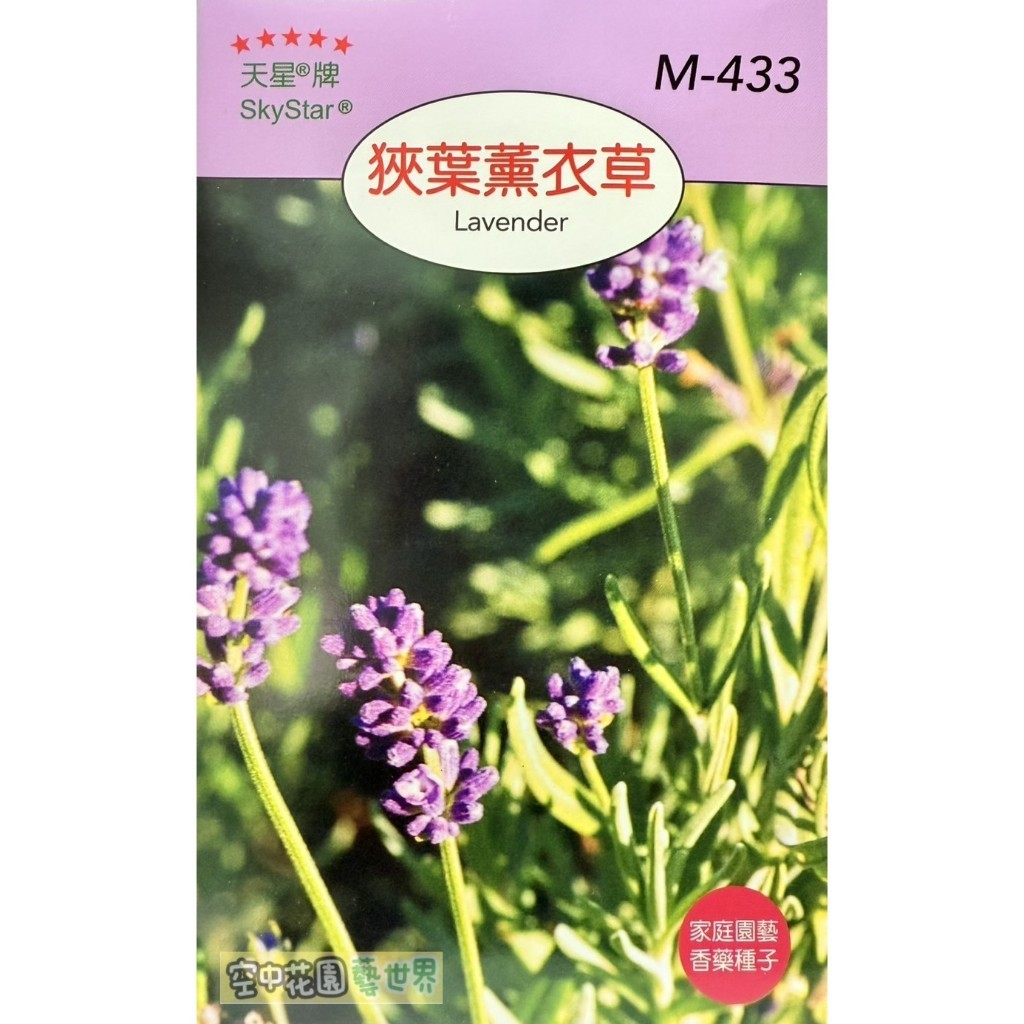 【台灣出貨 電子發票】狹葉薰衣草 種子 驅蚊植物 水耕 薰衣草 花香 精油 香草 天星牌 空中花園藝世界 M-433 | 蝦皮購物