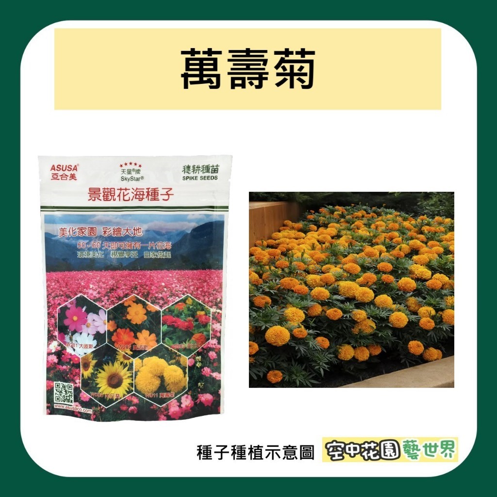 【台灣出貨 電子發票】萬壽菊花海種子 40g(25~30平方公尺) 花海 萬壽菊 天星牌 空中花園藝世界 | 蝦皮購物