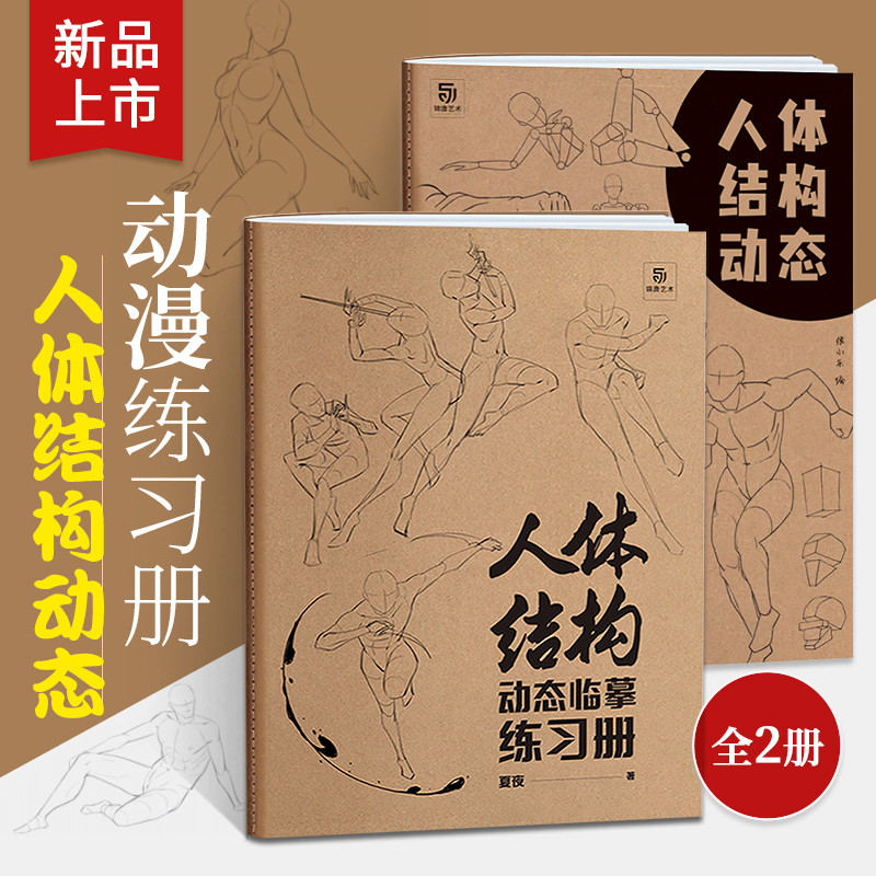 ★9rdg★人體結構動態臨摹練習冊 動態解剖30天打卡動漫練習冊 人體結構教學速寫基礎入門人體結構造型手繪技法美術培訓教 蝦皮購物