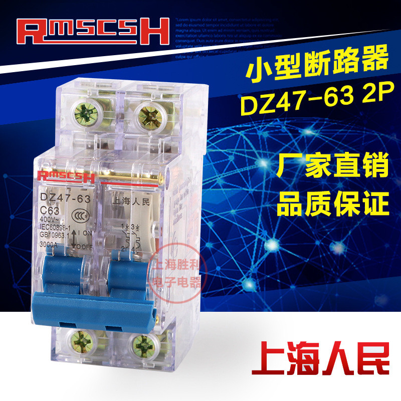 5號 廠家直銷 空氣開關 C45小型斷路器 DZ47-63 2P 6A-63A 透明 | 蝦皮購物