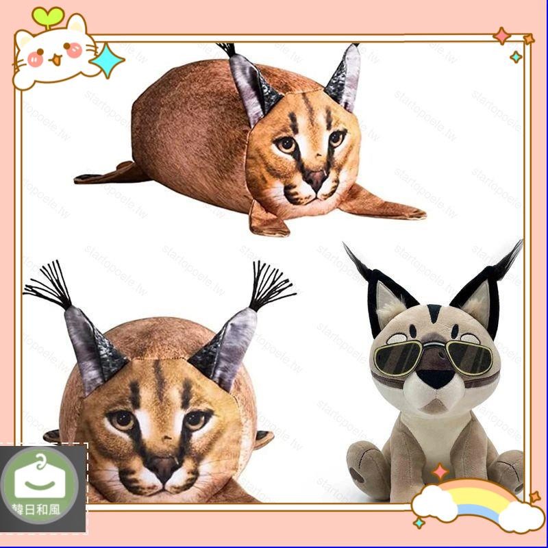 [特惠免運】Jason Roblox Raise a Floppa 毛絨玩具寵物模擬器 X 大型遊戲貓填充娃娃兒童禮品玩 | 蝦皮購物