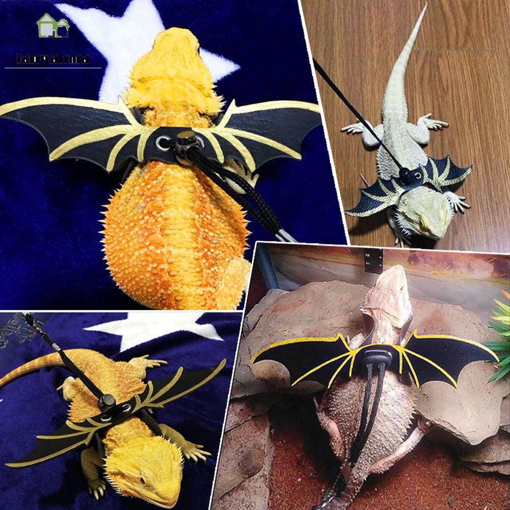 Reptile Lizard Gecko Harness Traction Rope Leash Strap Light | 蝦皮購物