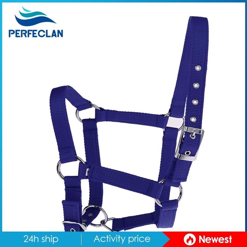 Adjustable nylon webbing rider western horse halter riding c | 蝦皮購物