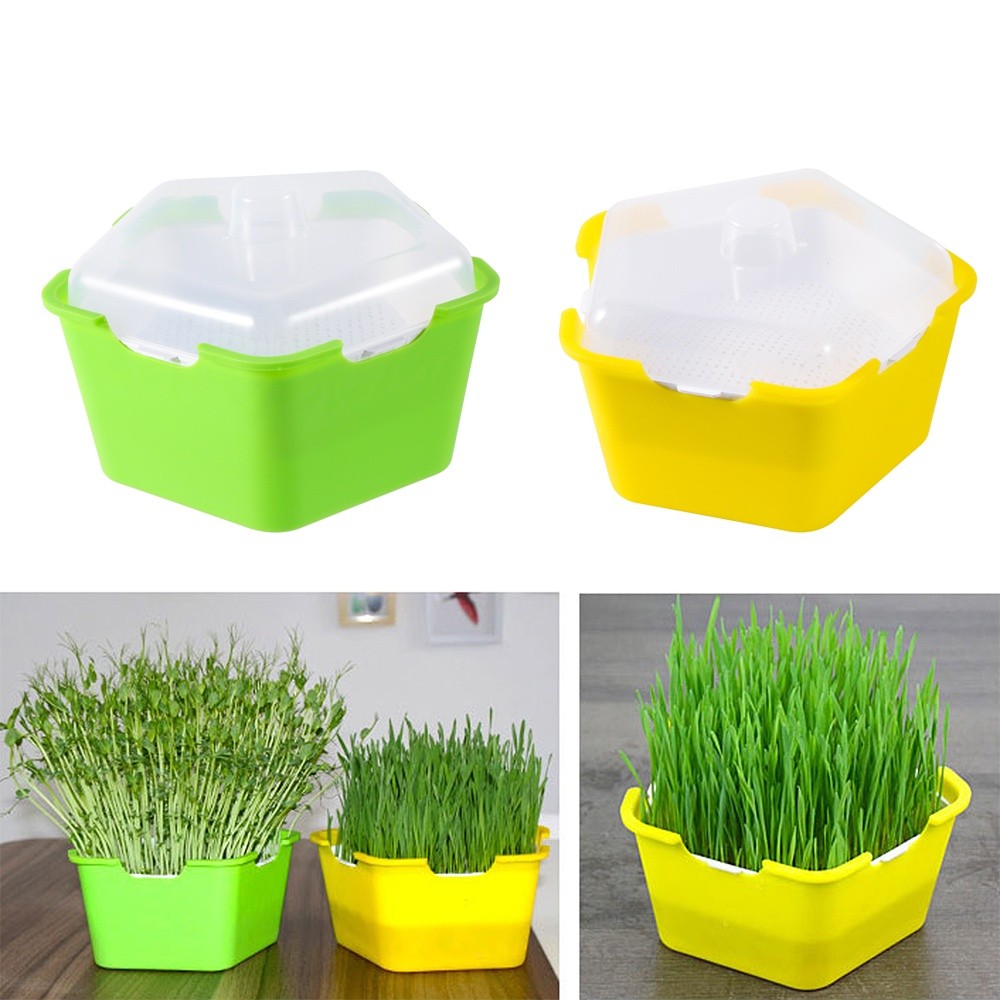 Pentagonal Plastic Sprout Planting Pot Box Pea Sprouter Seed | 蝦皮購物