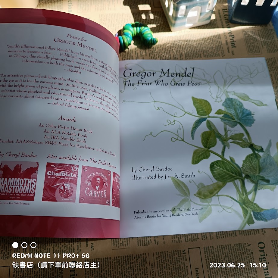 現貨平裝英文繪本Gregor Mendel―The Friar Who Grew Peas遺傳學創始人孟德爾和豌豆實驗 | 蝦皮購物