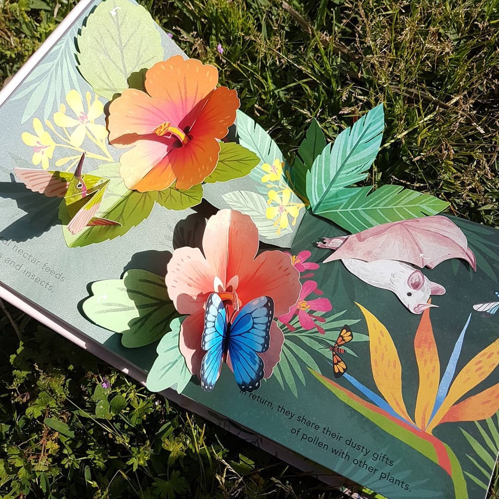 現貨英文紙藝立體書Flora: A Botanical Pop-Up Book嘆為觀止花花世界Yoojin Kim缺書店 | 蝦皮購物