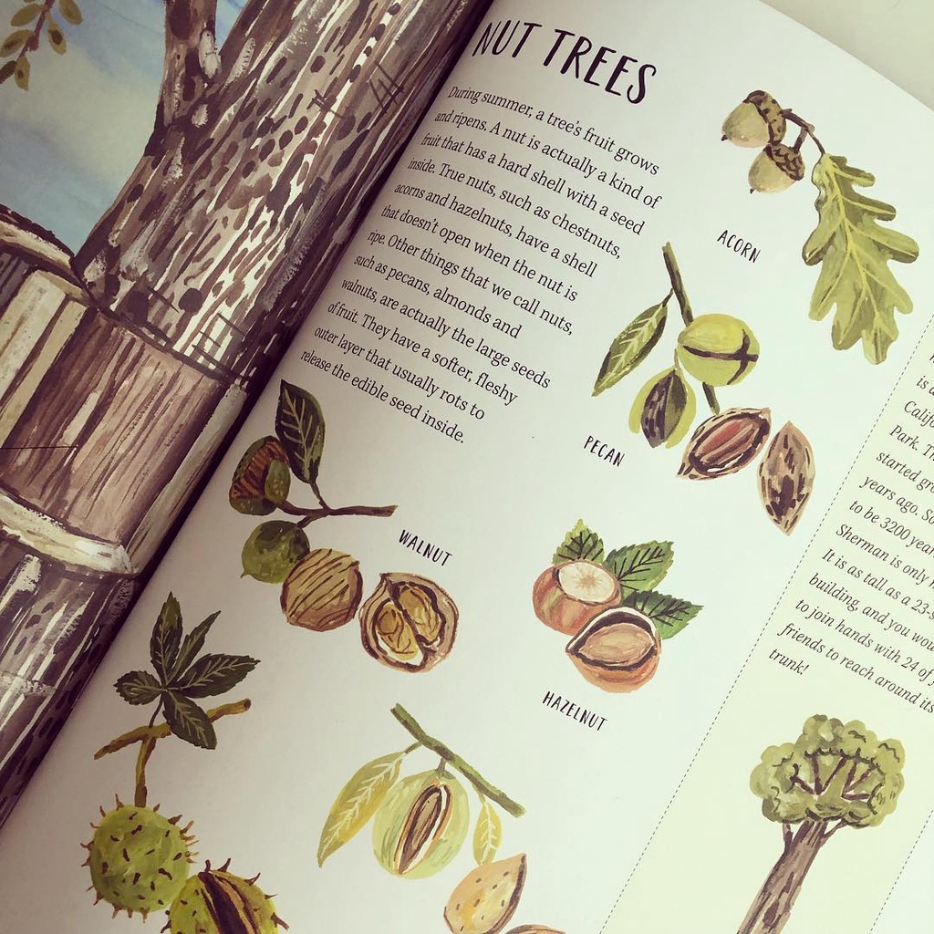 現貨🍀精裝英文自然科普知識繪本🍀Nature All Around: Trees🍀對樹木全面介紹和精美插圖🍀缺書店 | 蝦皮購物