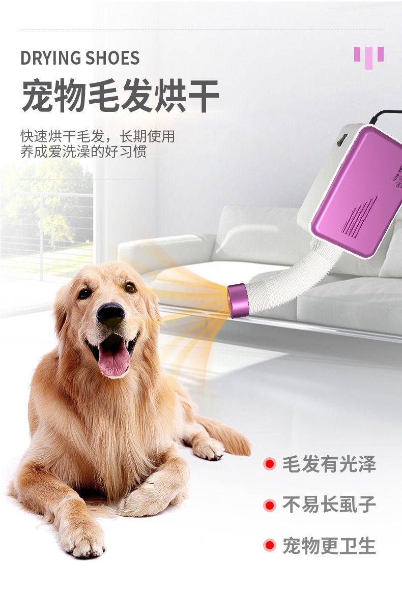 110V伏出口小傢電臺灣多功能烘被機傢用宿捨烘乾機烘鞋便攜乾衣機 行烘衣器 小型傢用烘乾機 速乾烘衣機 乾衣機 | 蝦皮購物