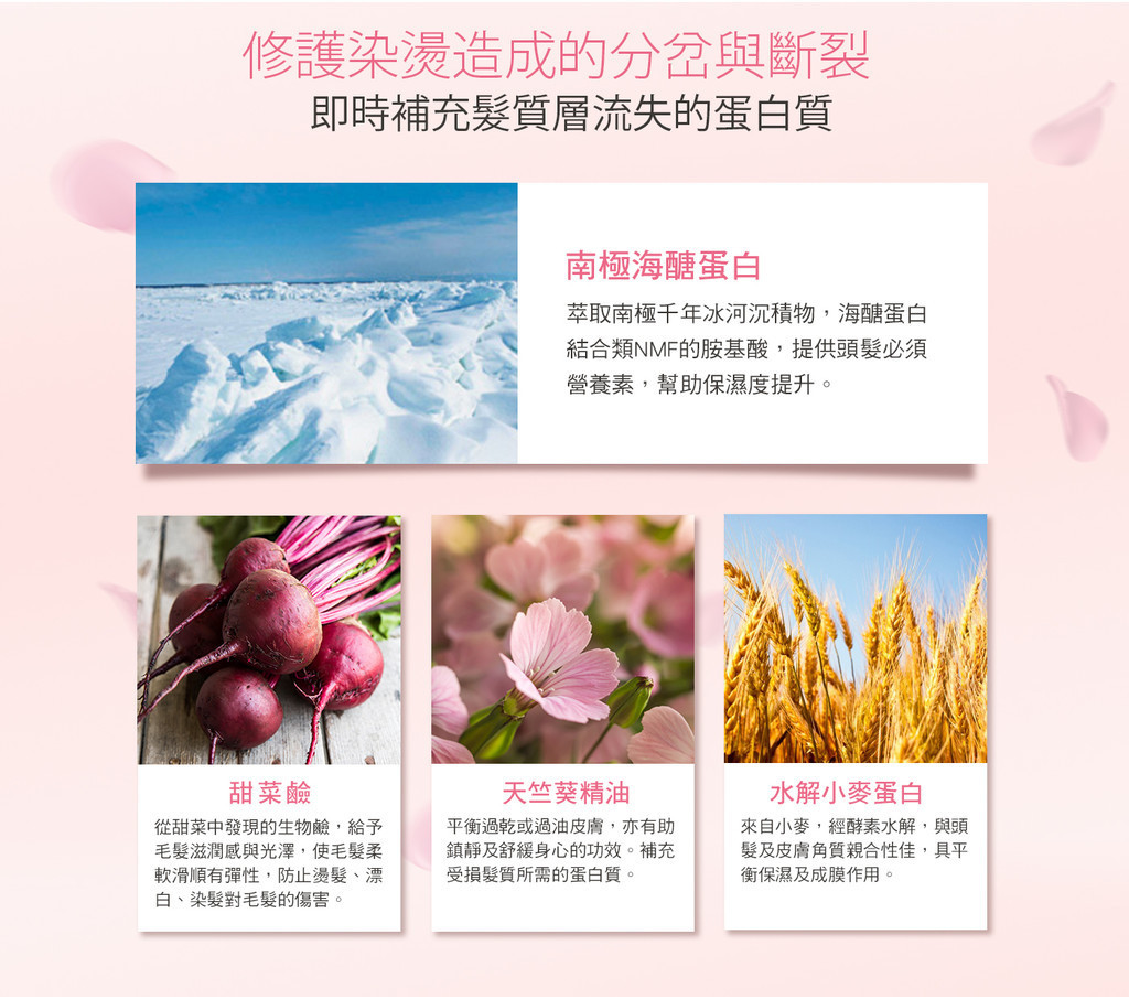 即期出清【herbmaze 草繹 】天竺葵亮澤修護潤髮乳350ml 早安健康嚴選 | 蝦皮購物