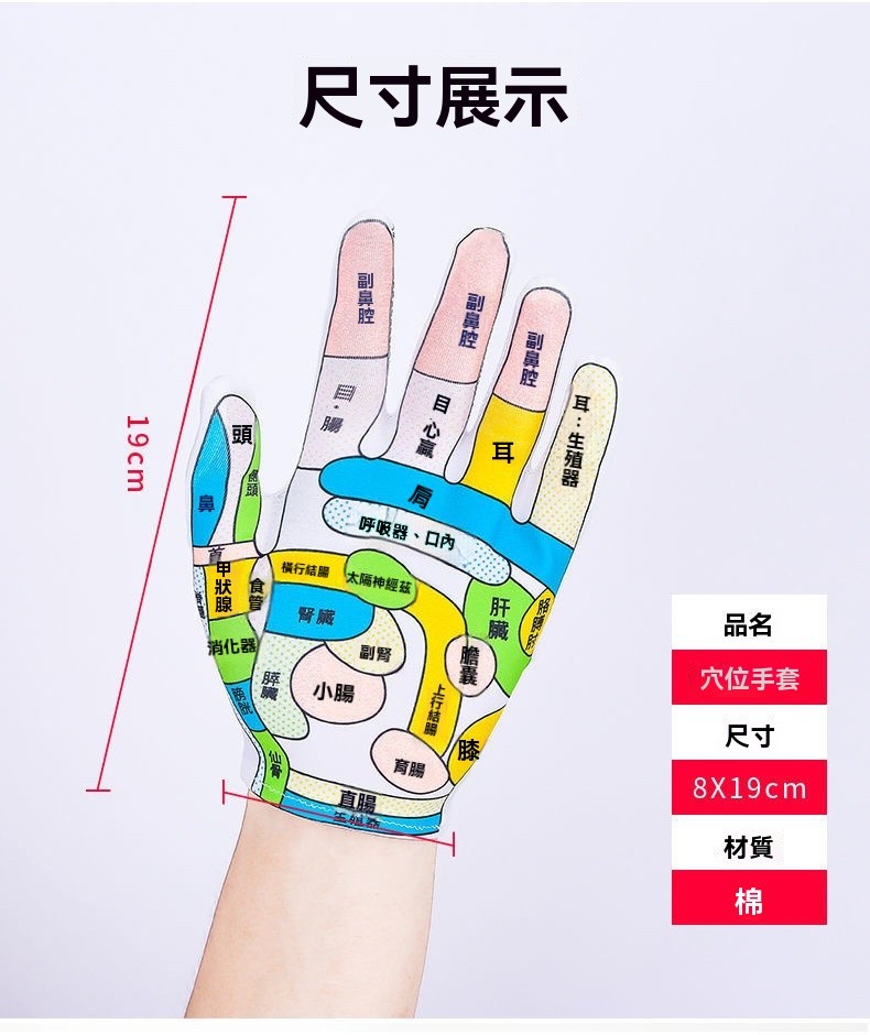 🔥臺灣出貨24H🔥穴位手套手療按摩工具手部反射區圖男女通用人體穴位模型敎學工具hhfoof | 蝦皮購物