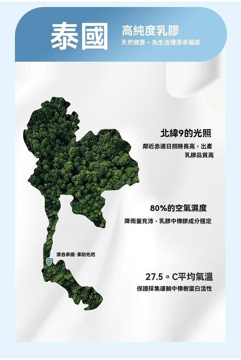 🌈台灣現貨🌈2024新款A類乳膠床包 印花冰絲床包 加厚天然乳膠床包/乳膠涼蓆/涼感床包/冰絲床包/單人床包/乳膠涼墊 | 蝦皮購物