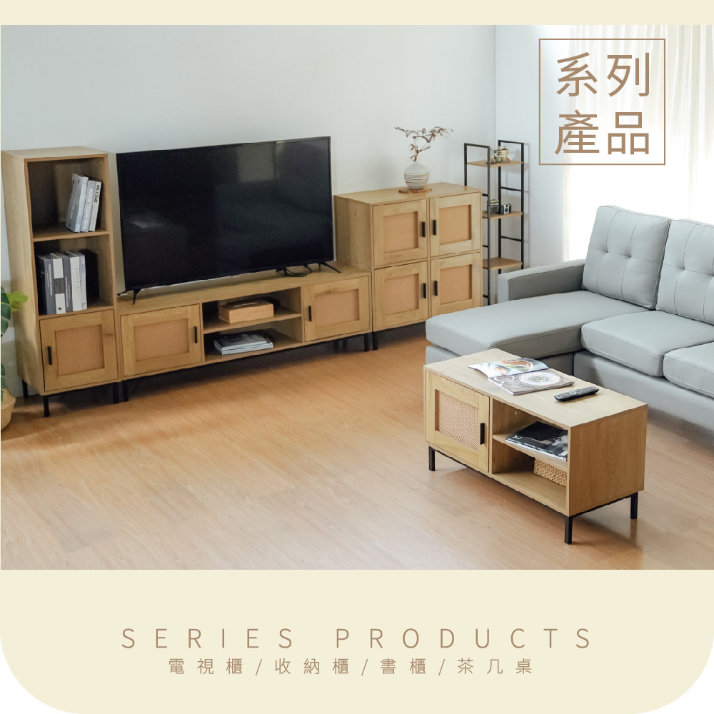 RICHOME 布萊恩雙門電視櫃 電視櫃 書櫃 收納櫃 置物櫃 電視架 雙門櫃 TV172 | 蝦皮購物