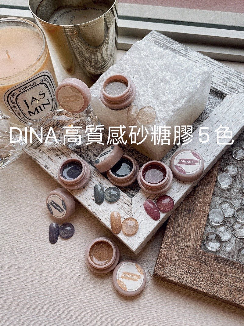 現貨 DINA 砂糖膠 高質感 美甲 凝膠 共五色 dinagel 璐意雅 美甲 罐裝凝膠 美甲膠 | 蝦皮購物