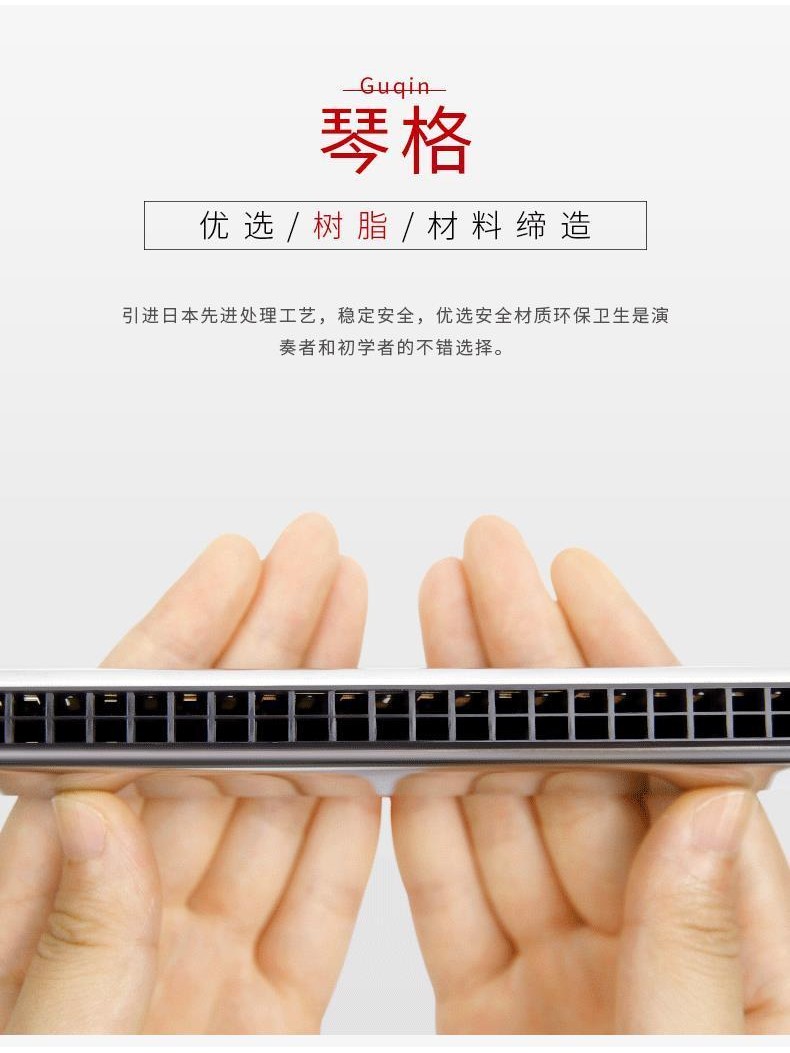 【高端口琴】通寶6624 複音C調24孔TOMBO成人初學學生兒童自學男女演奏口琴刻字 | 蝦皮購物