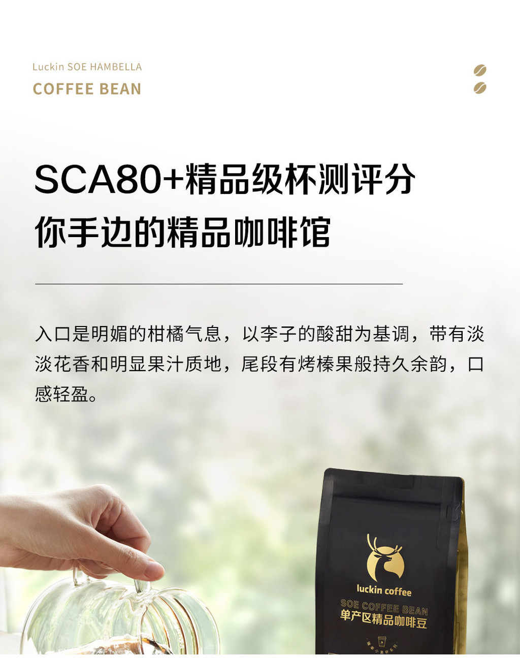 瑞倖咖啡SOE花魁精品咖啡豆中度烘焙門店衕款小黑杯250g不磨粉 | 蝦皮購物