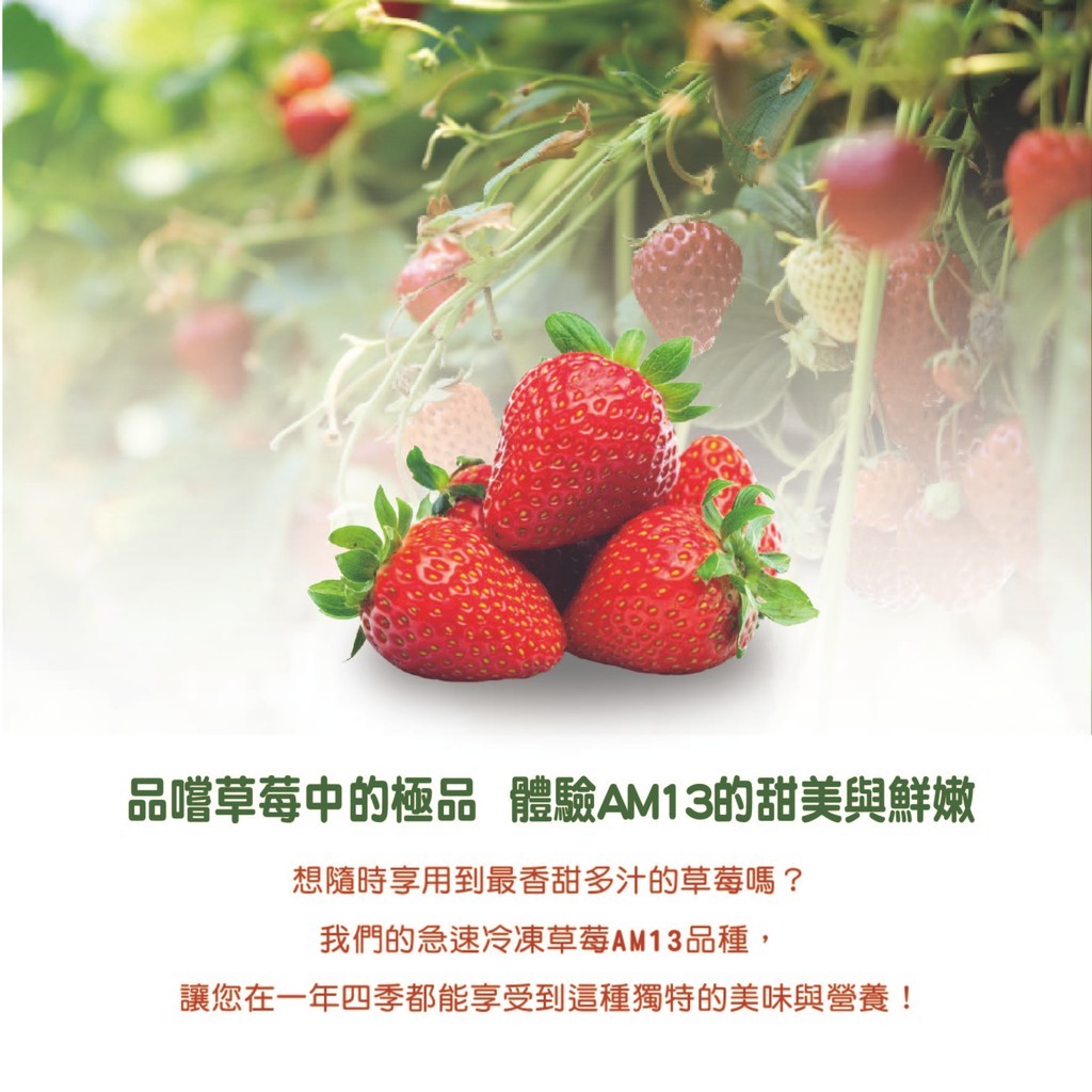 冷凍超取799免運【誠麗莓果】IQF急速冷凍小草莓 1KG AM13品種 小顆草莓 1.5-2.5CM 草莓季 | 蝦皮購物