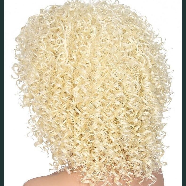 可開發票Black Synthetic Wig Curly Afro African Wigs for Women 假髮 | 蝦皮購物