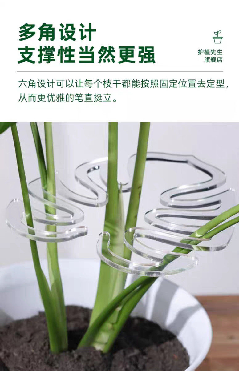 限時5折起 龜背竹支撐桿花支撐架枝幹收攏架植物防倒伏支架綠植固定神器花架 | 蝦皮購物