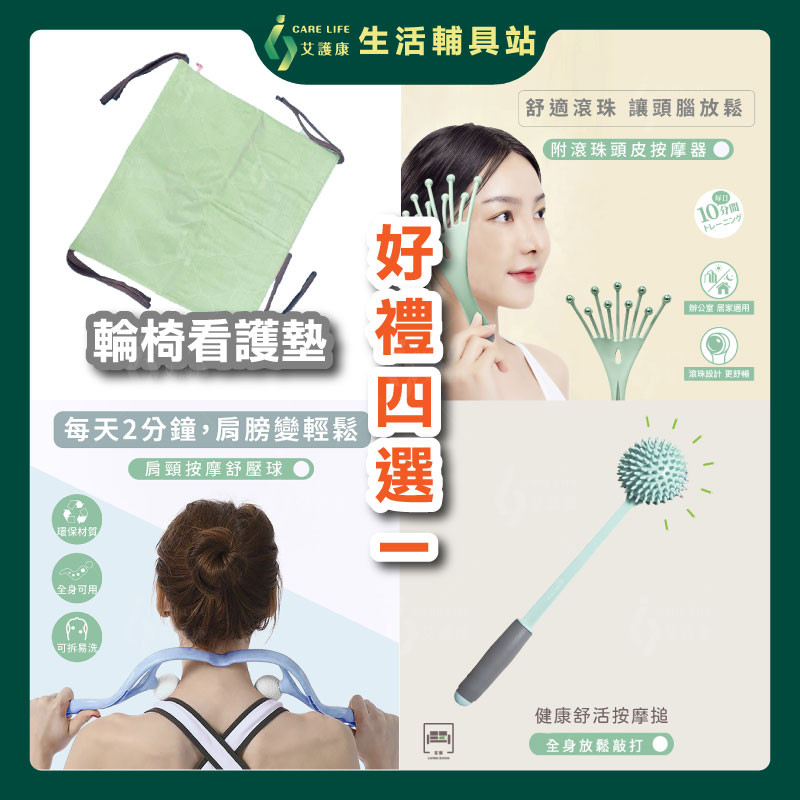 【送反光安全帶+好禮四選一】艾護康 富士康 FZK-2500 折背輪椅 弧形中輪 輪椅B款 手動輪椅 外出輪椅 輪椅補助 | 蝦皮購物