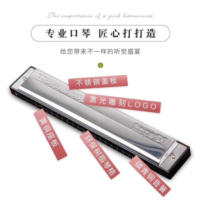 TOMBO日本通寶6624複音口琴24孔入門演奏初學愛好口琴 | 蝦皮購物