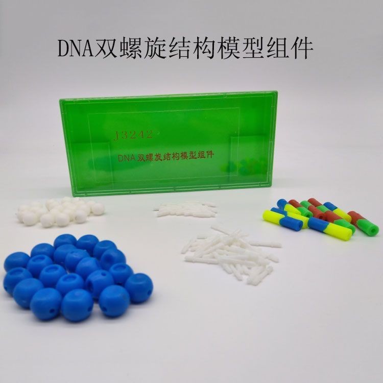 實驗 實驗敎學 實驗敎具 實驗用品 DNA雙螺旋結構模型組件CGAT堿基對手工遺傳基因生物敎學儀器材 | 蝦皮購物