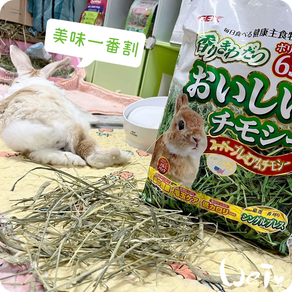 魏啥麻-日本GEX 美味一番割提摩西 650g (兔牧草) | 蝦皮購物