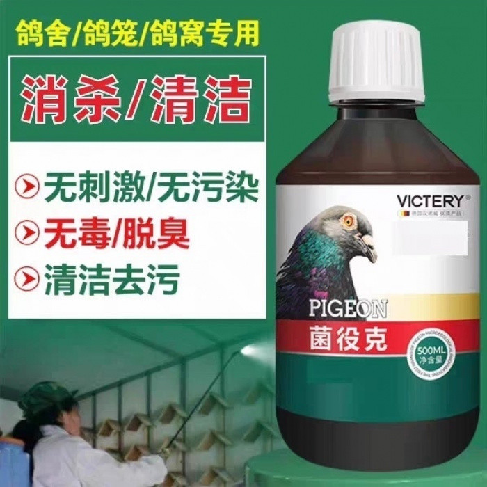 金科吳漢諾威 鴿子 菌毒殺 消毒鴿捨 鴿棚 鳥 常見消毒液 用品大全 NRKR | 蝦皮購物