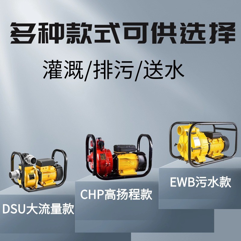 DSU大流量自吸泵CHP高揚程電泵農用灌溉高壓抽水機EWB汙水泥漿泵 RXXY | 蝦皮購物