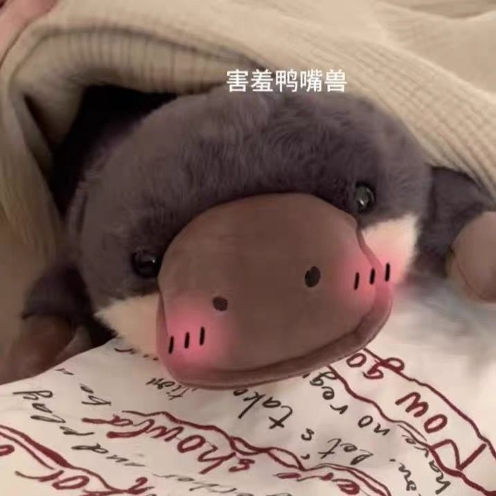 【小紅書精品推薦 】鴨嘴獸毛絨玩具公仔差腿鴨嘴獸玩偶床上陪睡抱枕安撫娃娃生日禮物 YDO0 | 蝦皮購物