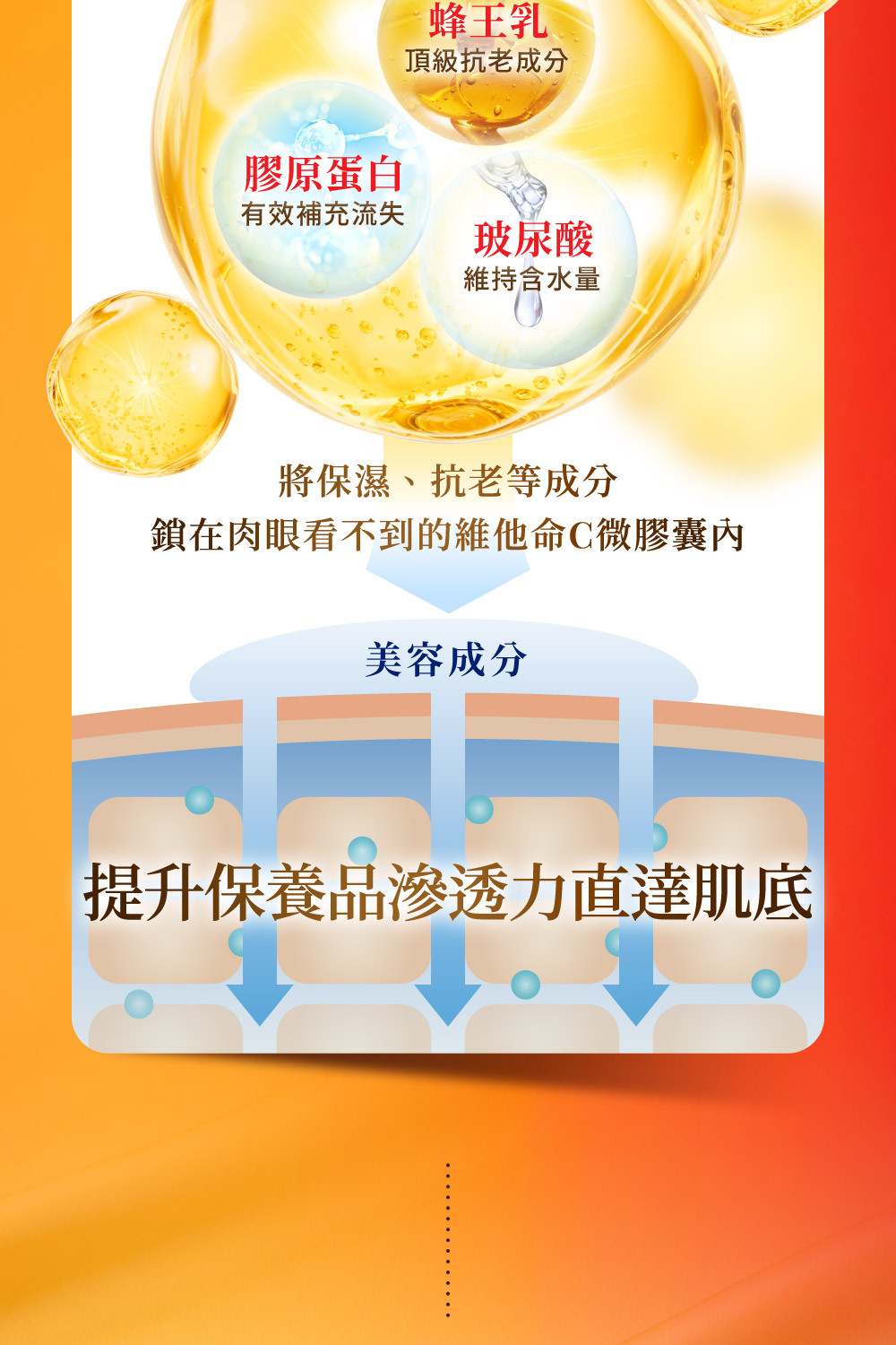 【OZIO 歐姬兒】升級版凍齡蜂王乳凝露EX 6入 - 75g 官方旗艦店 | 蝦皮購物