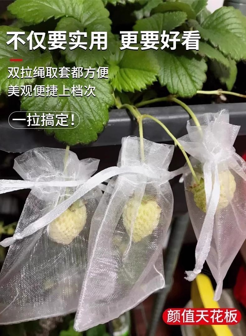 臺灣有貨⚡【透氣佳】水果套袋果樹防鳥紗網袋葡萄無花果番石榴枇杷桃草莓網眼袋 JS1I | 蝦皮購物