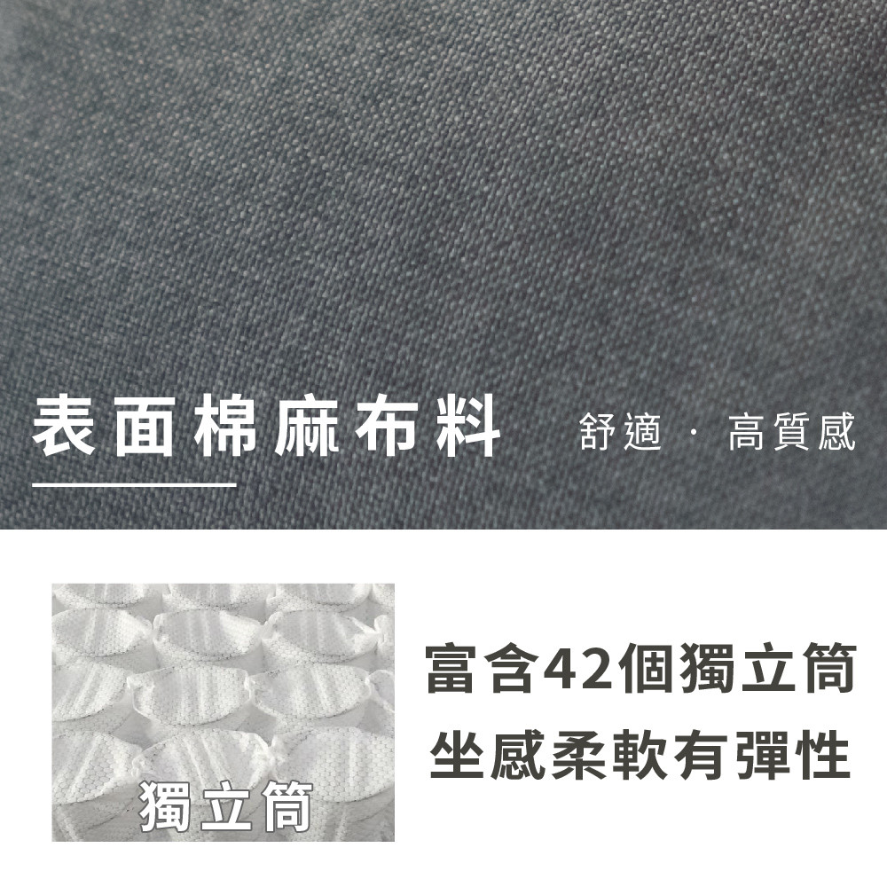 RICHOME 福利品 SF-075 功能沙發 免運 機能沙發 單人沙發 功能沙發 休憩 臥室 會客 近全新 | 蝦皮購物