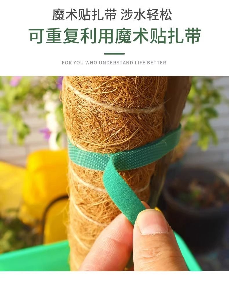 （蝦皮熱銷）植物綁帶爬藤綠植魔術貼園藝綁花紮帶神器固定器龜背竹紮綫捆綁 TGD2 | 蝦皮購物
