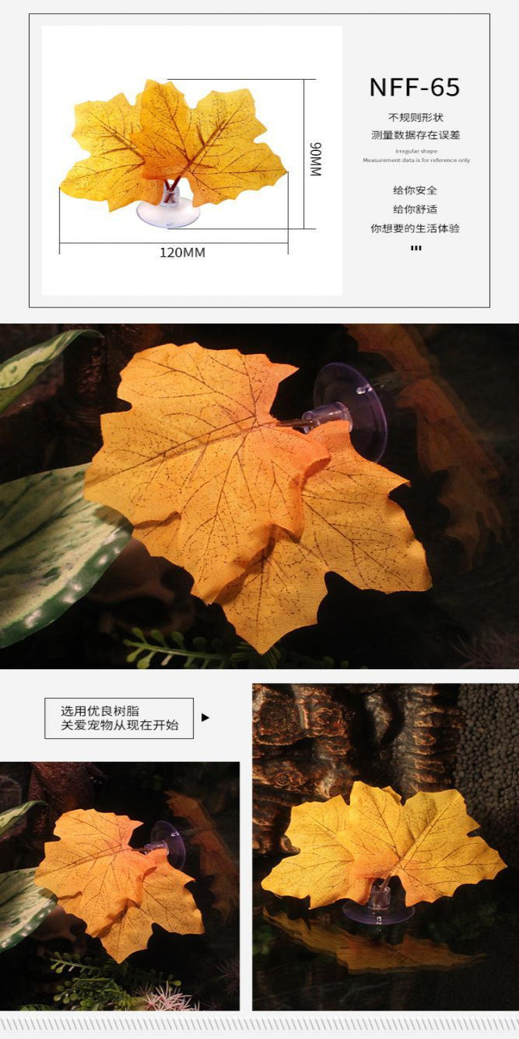 DR甄選 小寵裝飾 爬蟲造景 仿真植物 爬寵缸裝飾 魚缸裝飾 陸龜 蜥蜴 變色龍 蛇 爬蟲雨林箱 DXDG | 蝦皮購物