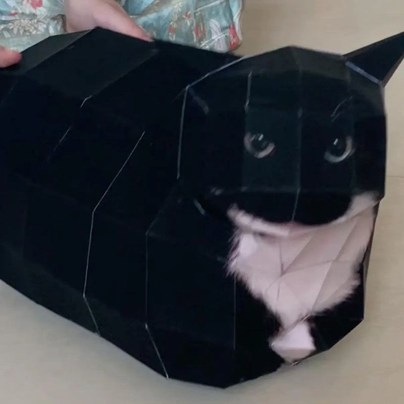 台灣出貨 oiiao貓 huh貓 Maxwell貓 疑惑貓 旋轉貓 手工DIY 紙模型 折紙 紙貓 非成品 擺件 LT | 蝦皮購物