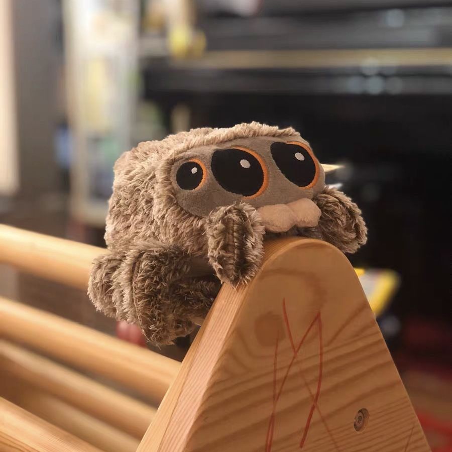 臺灣出貨~Lucas盧卡斯蜘蛛公仔兒童毛絨玩具可愛spider獃萌爬蟲玩偶 | 蝦皮購物