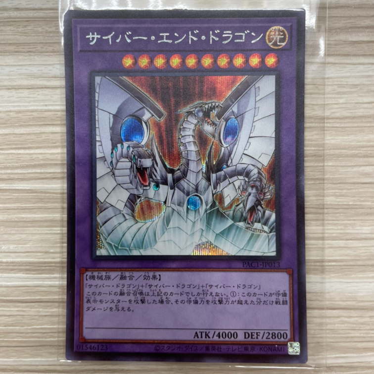 DW賣場 遊戲王 PAC1-JP013 電子終焉龍 (半鑽) | 蝦皮購物