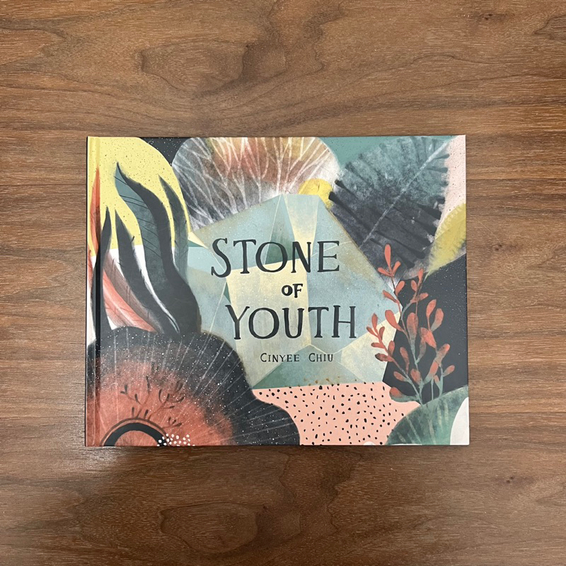 Cinyee Chiu《Stone of Youth》青春之石 插畫繪本 募資 英文版 已絕版 | 蝦皮購物
