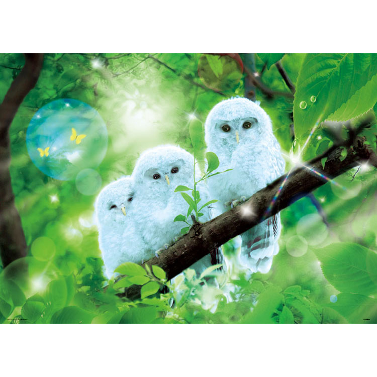 日本進口拼圖 600片 國外畫家 Wilfar 快樂的白色貓頭鷹 beverly 66-116 | 蝦皮購物