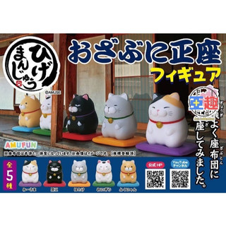 【領航員會館】整套正版AMUFUN 鬍鬚饅頭貓正坐公仔 扭蛋 貓咪 喵星人 貓奴 可愛 療癒 玩具 三色貓 橘貓 白貓 | 蝦皮購物