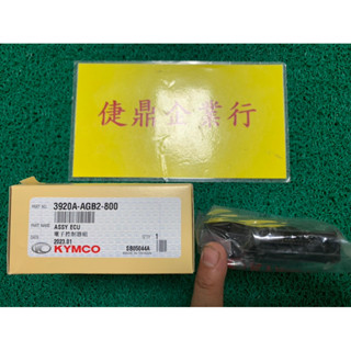 KYMCO 原廠 新名流 125 CC 電腦 引擎控制器 ECU 料號：3920A-AGB2-800 | 蝦皮購物