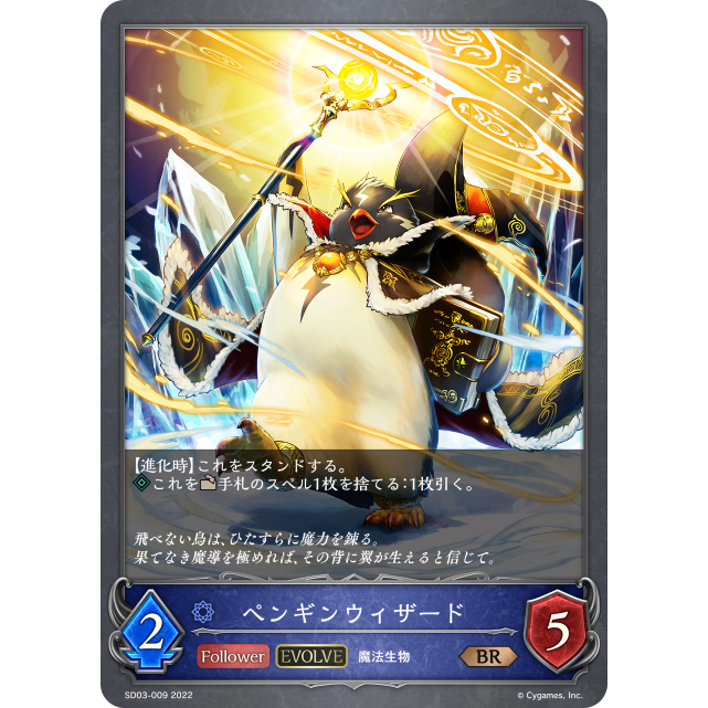 [鬧鬧SV單卡部] SD03-009 BR 巫師 預組 套牌 闇影詩章Shadowverse SVE卡片 卡牌 收藏卡 | 蝦皮購物