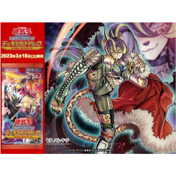 預售 到貨後寄出 DBWS-JP017 征服之魂 豹女 (普鑽) | 蝦皮購物