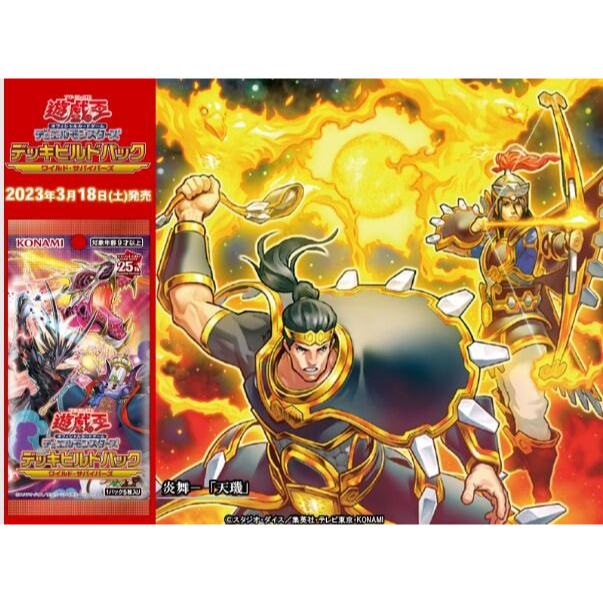 預售 到貨後寄出 DBWS-JP028 炎舞 - 『天璣』 (普鑽) | 蝦皮購物