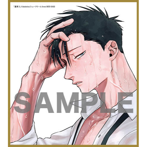 【現貨/含特典色紙+PAPER】akabeko 蜜果 3 BL漫畫 HORIN 有償特典 | 蝦皮購物