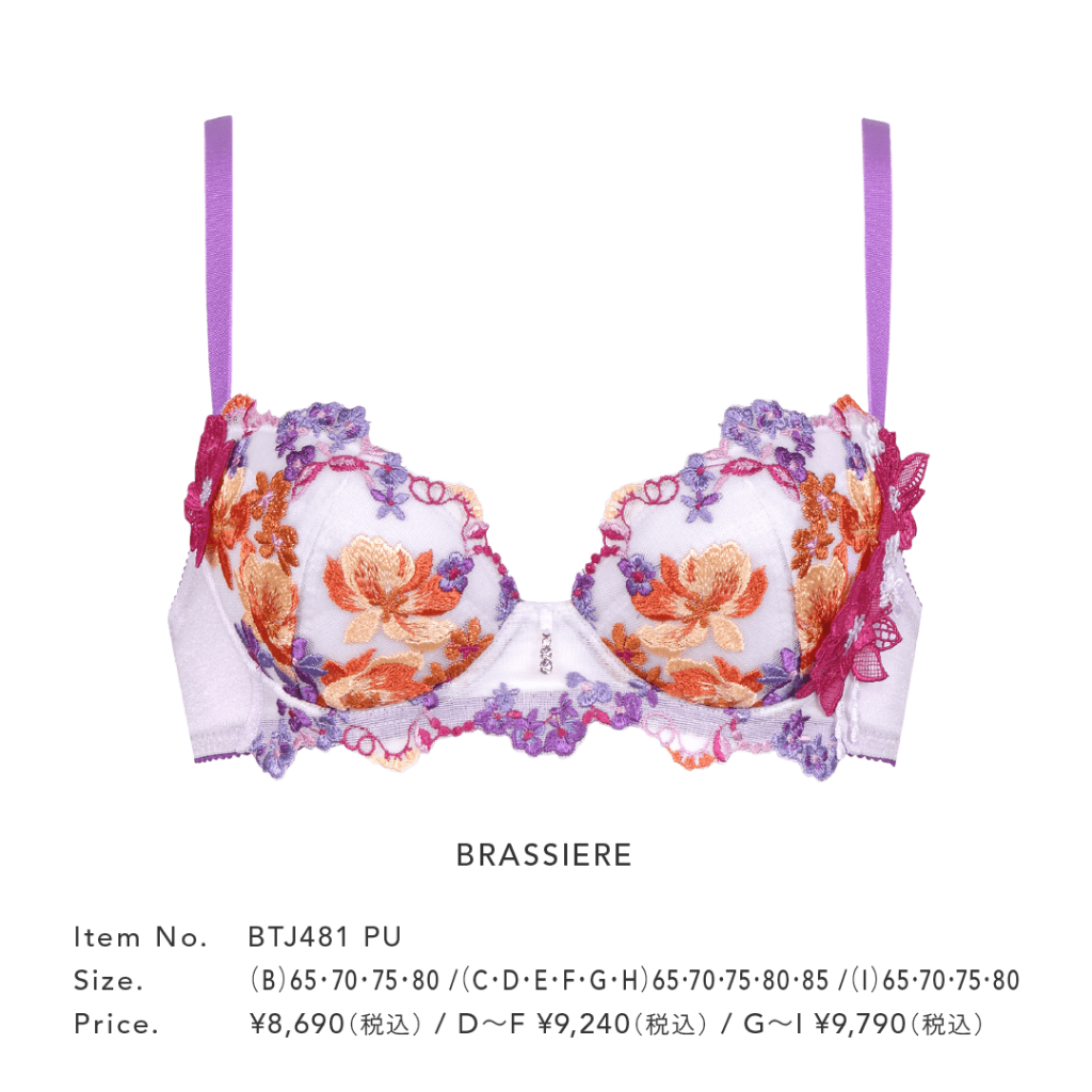 Salute 81g 82g Group 莎露 內衣 內褲 丁字 日本製 可代購 歡迎詢問 65D 65C | 蝦皮購物