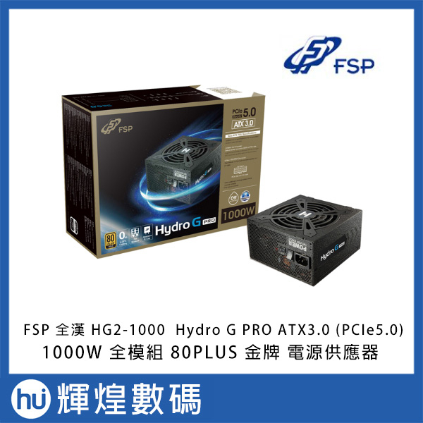 FSP 全漢 HG2-1000 Hydro G PRO ATX3.0 1000W PCIe5.0 全模組 金牌電源供應器 | 蝦皮購物