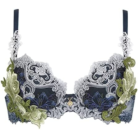 Salute 81g 82g Group 莎露 內衣 內褲 丁字 日本製 可代購 歡迎詢問 65D 65C | 蝦皮購物