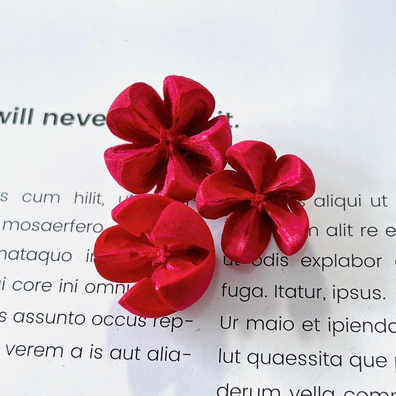 開心果 木荷果 開口笑果實 十字果 ☆ VITO zakka ☆ 花材 拍攝道具 DIY創作 手做材料 果實 花圈材料 | 蝦皮購物