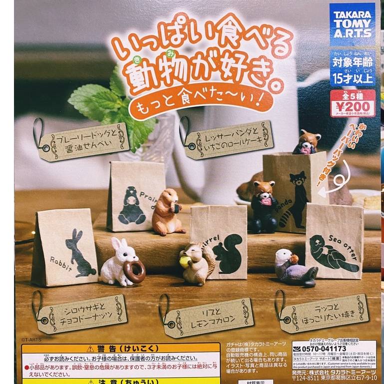 『Vic Toy』 TTA 貪吃小動物 全五種 松鼠 水獺 兔子 小浣熊 土撥鼠 現貨 單售 轉蛋 扭蛋 | 蝦皮購物